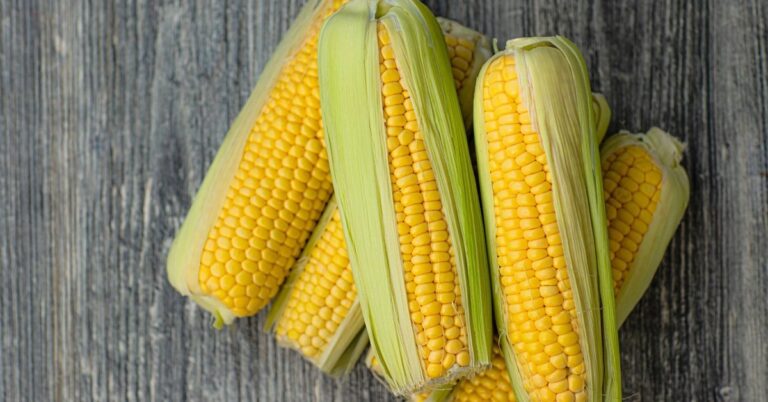 6 Fresh Corn Stands in Kawartha Lakes | Call of the Kawarthas