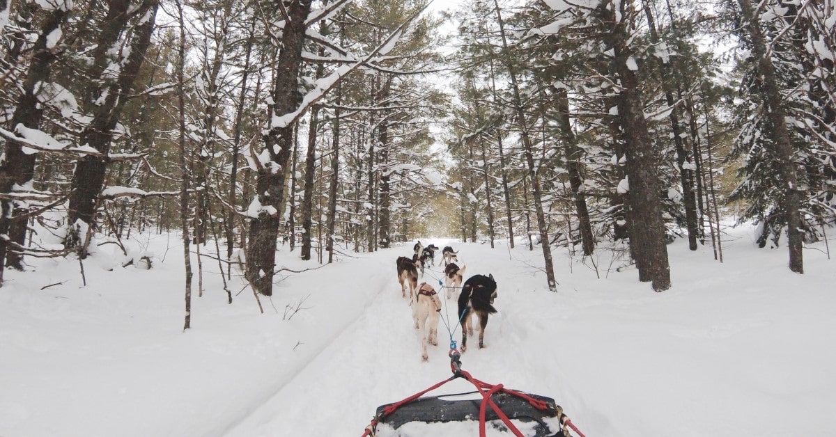 Things to Do in Kawartha Lakes during Winter | Call of the Kawarthas